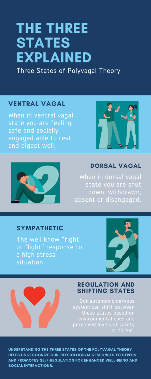 Polyvagal SSP 3 States Infographic-KROSJ | Michigan Brain Health